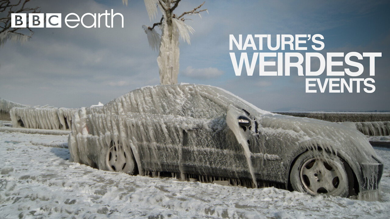 Is Nature s Weirdest Events On Netflix Where To Watch The is-nature-s-weirdest-events-on-netflix-where-to-watch-the